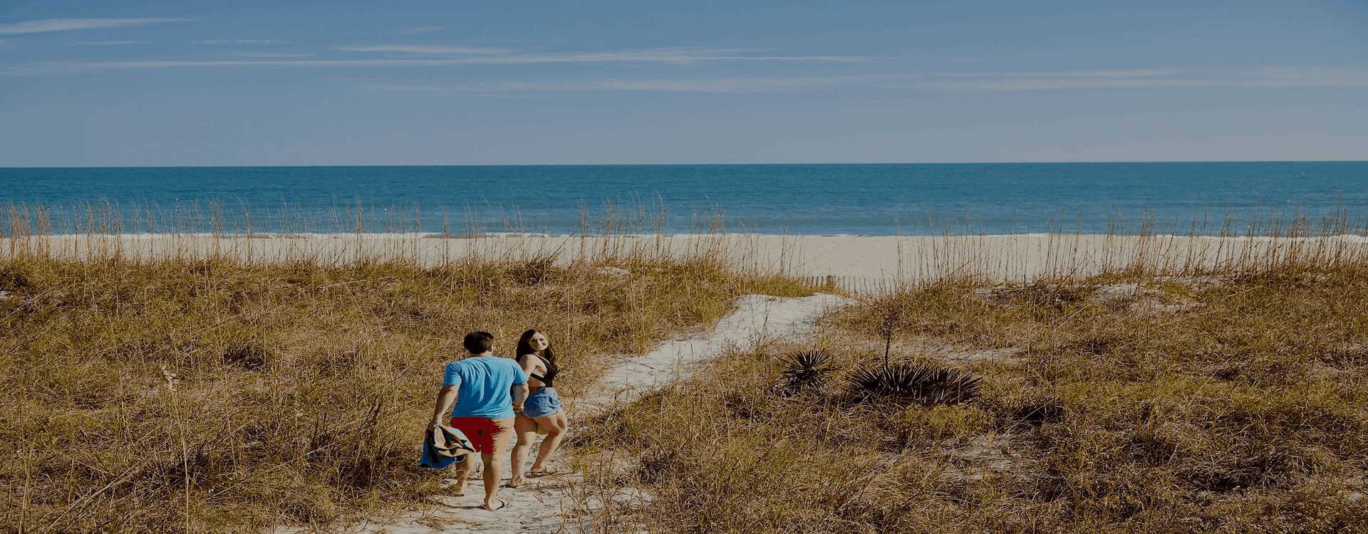 Hammock Coast | Hammock Coast Tourism Website