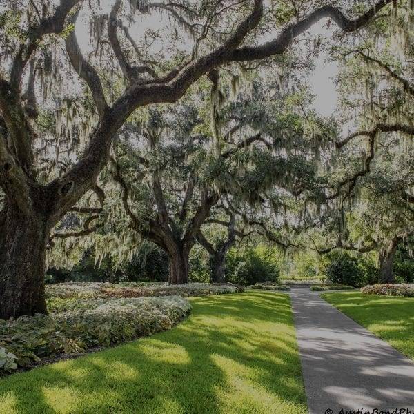 Must See Attractions Along South Carolina's Hammock Coast