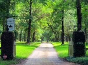 Hopsewee Plantation: Historic Landmark In Georgetown, SC