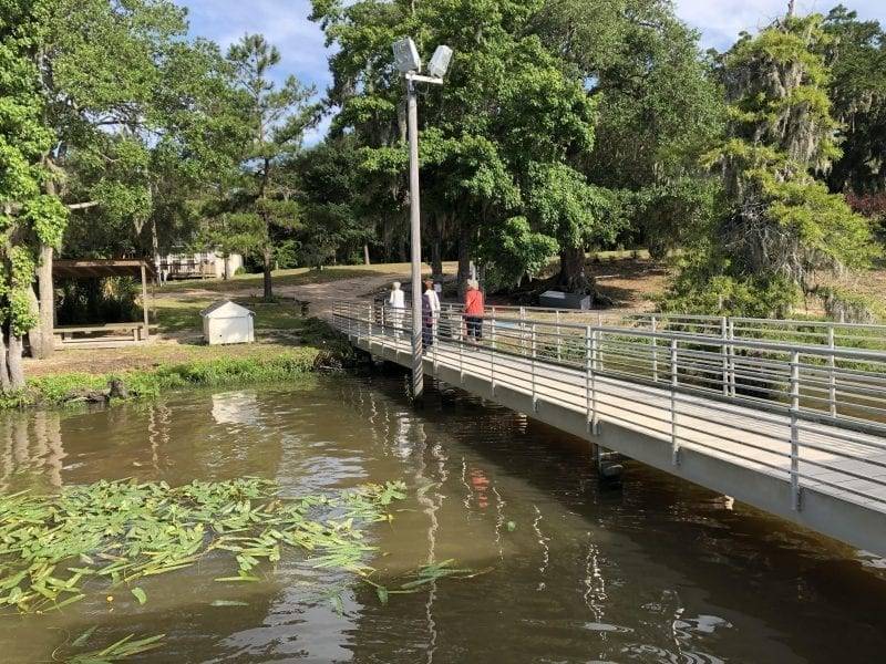 Explore Sandy Island | South Carolina's Hammock Coast