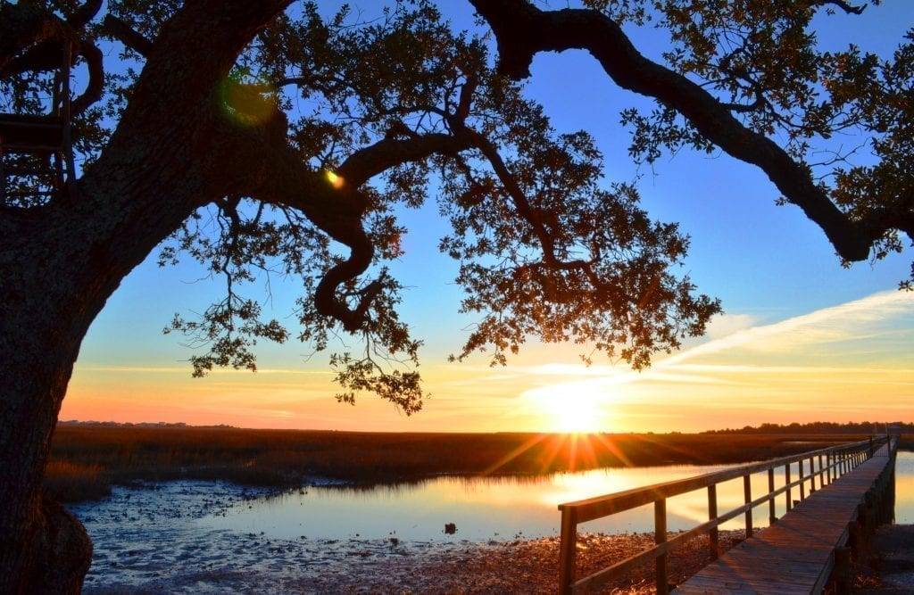 Murrells Inlet, SC: Attractions, Restaurants & Things To Do