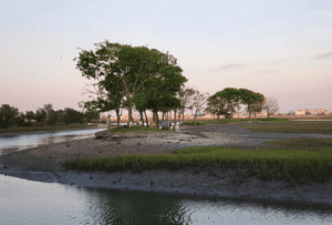 Murrells Inlet MarshWalk: Boardwalk & Waterfront Dining in Murrells ...