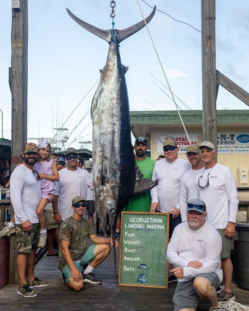 Top Spring Events Blooming On South Carolina's Hammock Coast