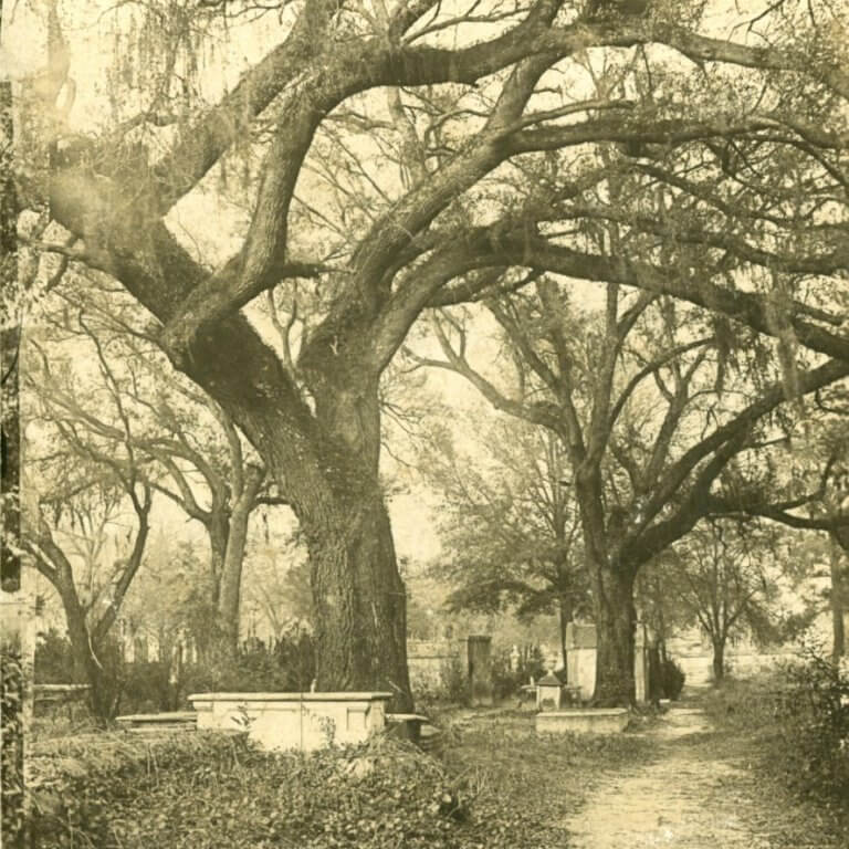 Murrells Inlet, SC: Attractions, Restaurants & Things To Do